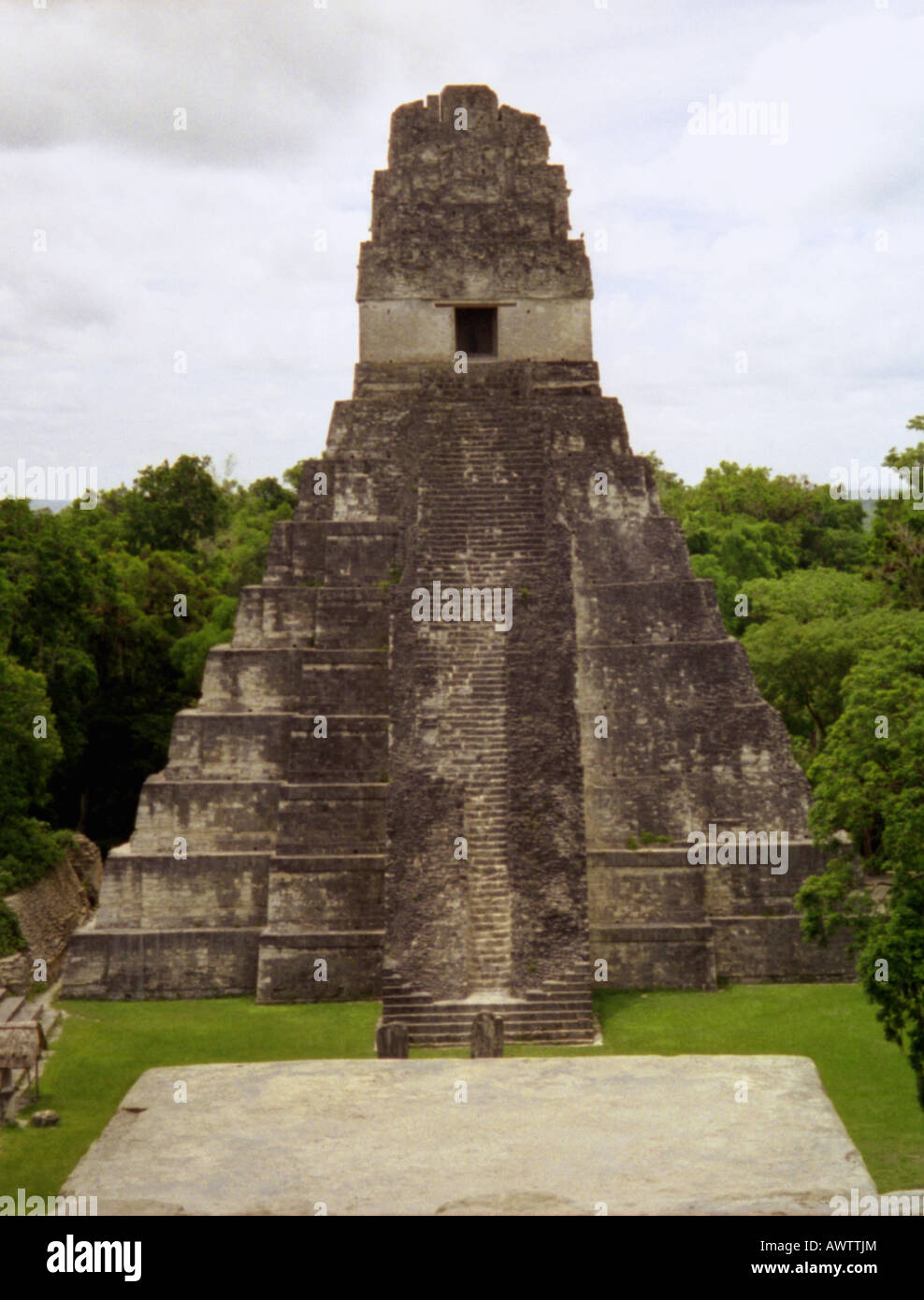 Panoramic view imposing Maya stone pyramid stairway Tikal Guatemala ...