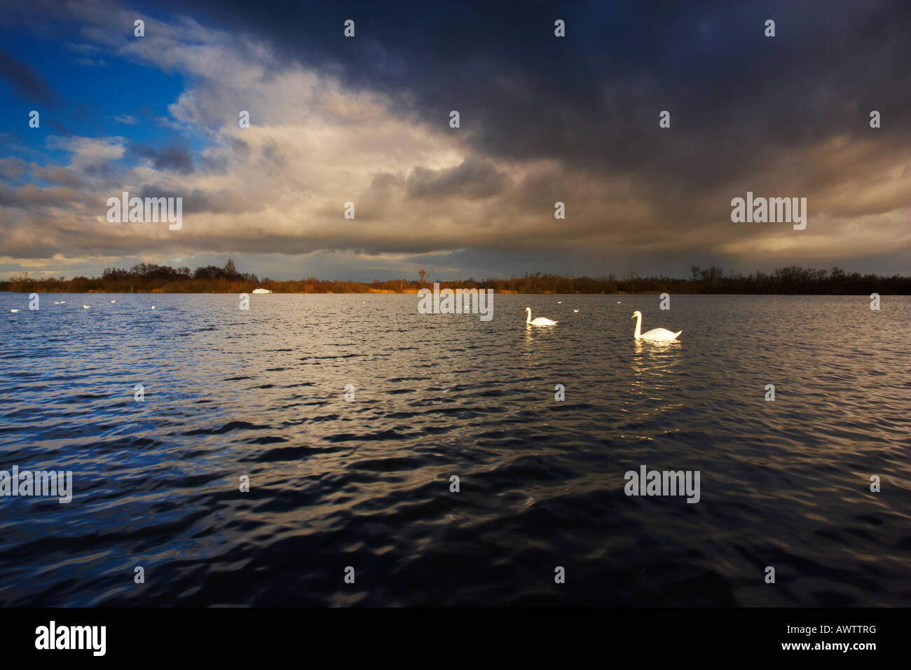 Malthouse Broad at Ranworth on a moody winter' s morning in the Norfolk ...