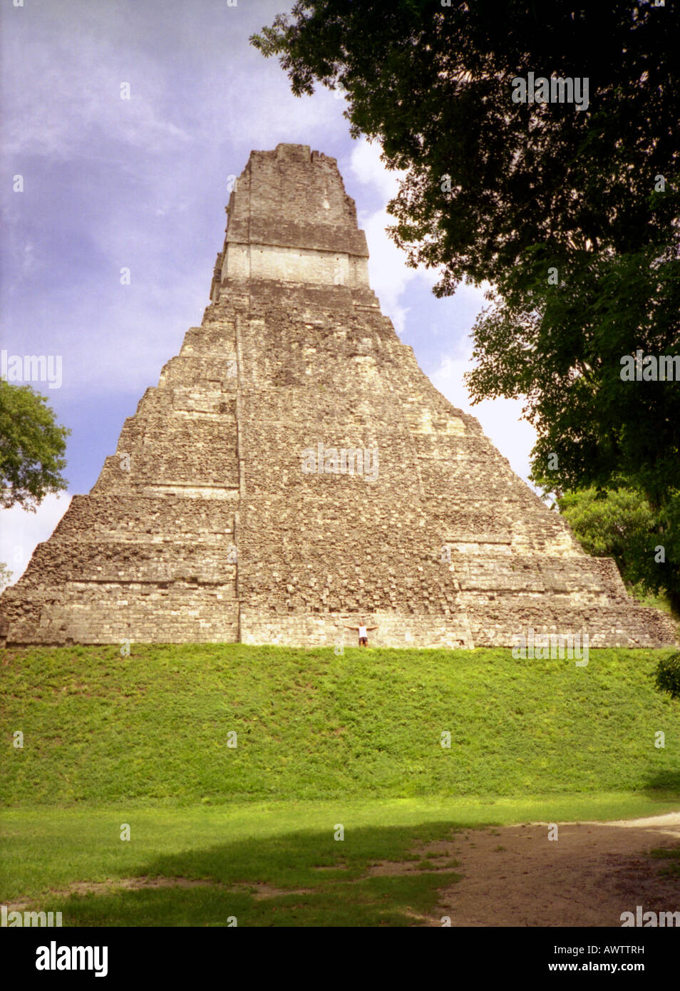 Panoramic view imposing Maya stone pyramid man standing Tikal Guatemala ...