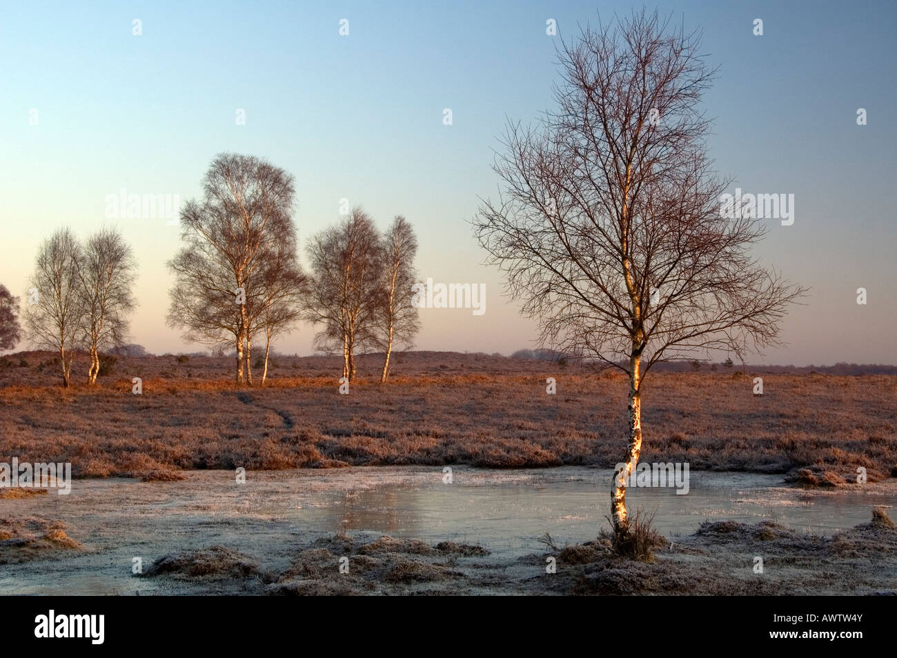 Shatterford hi-res stock photography and images - Alamy