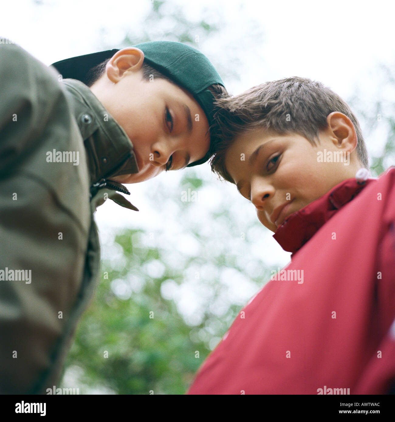 Two boys face to face looking at camera, low angle view Stock Photo - Alamy