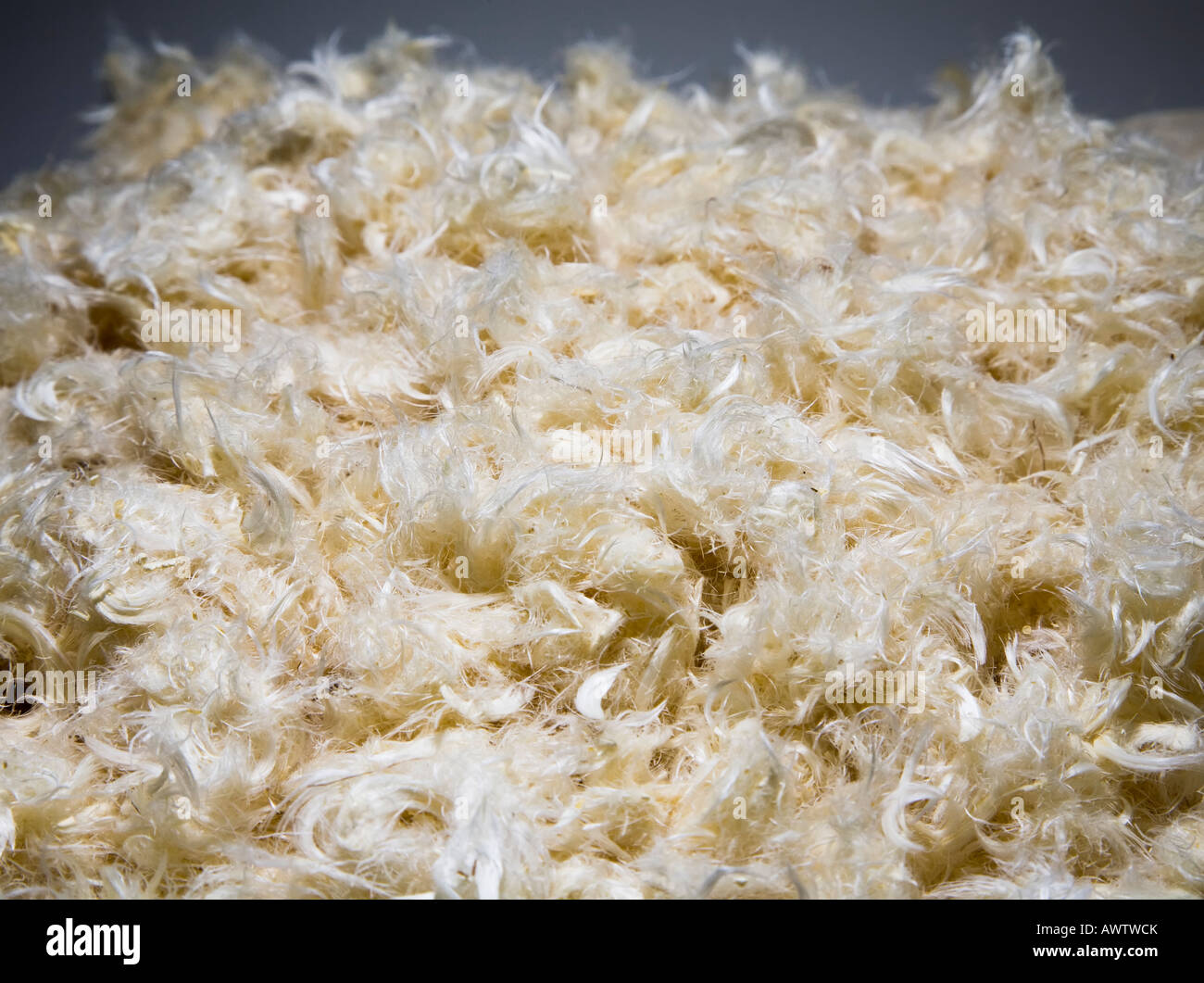 Stuffing pillows hi-res stock photography and images - Alamy