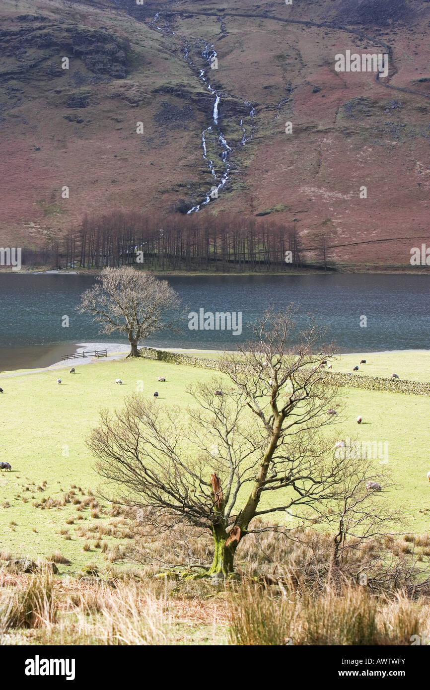 Buttermere, Lake District, England Stock Photo - Alamy