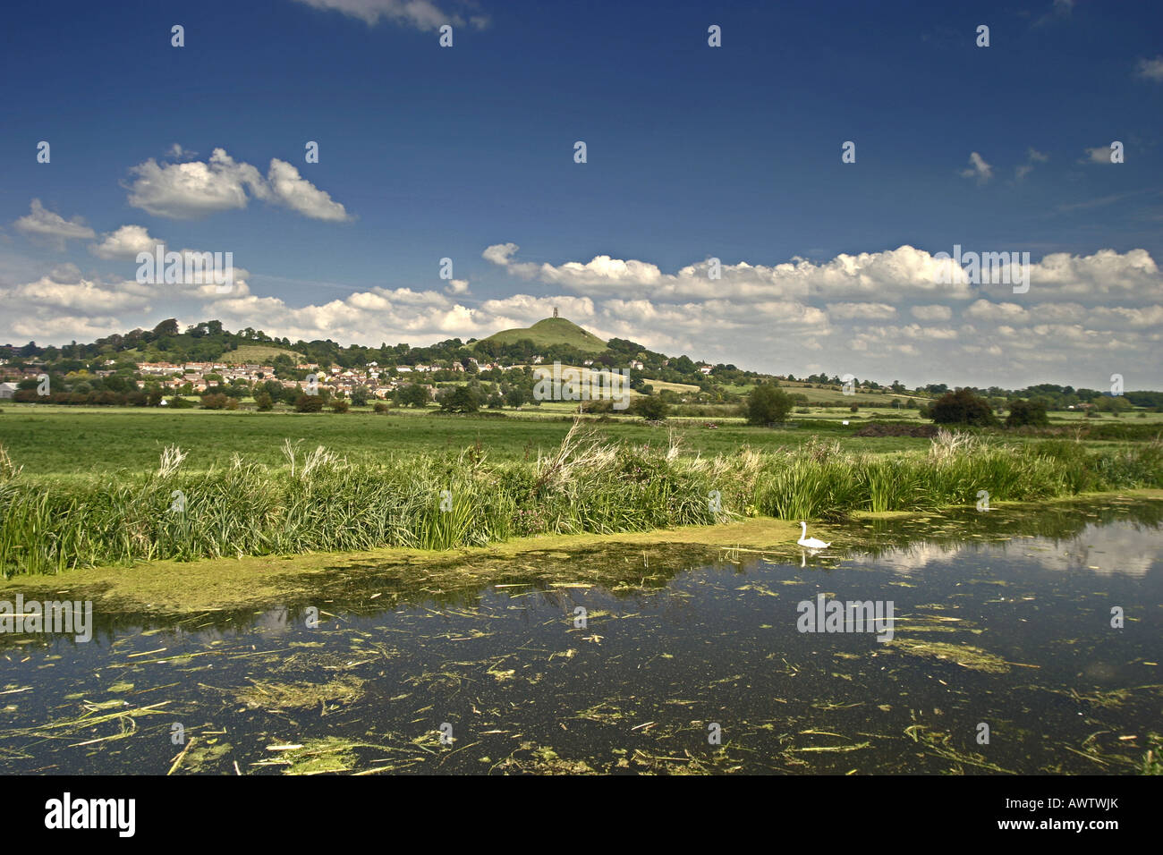 Glastonbury Tor and River Brue Somerset UK Stock Photo - Alamy