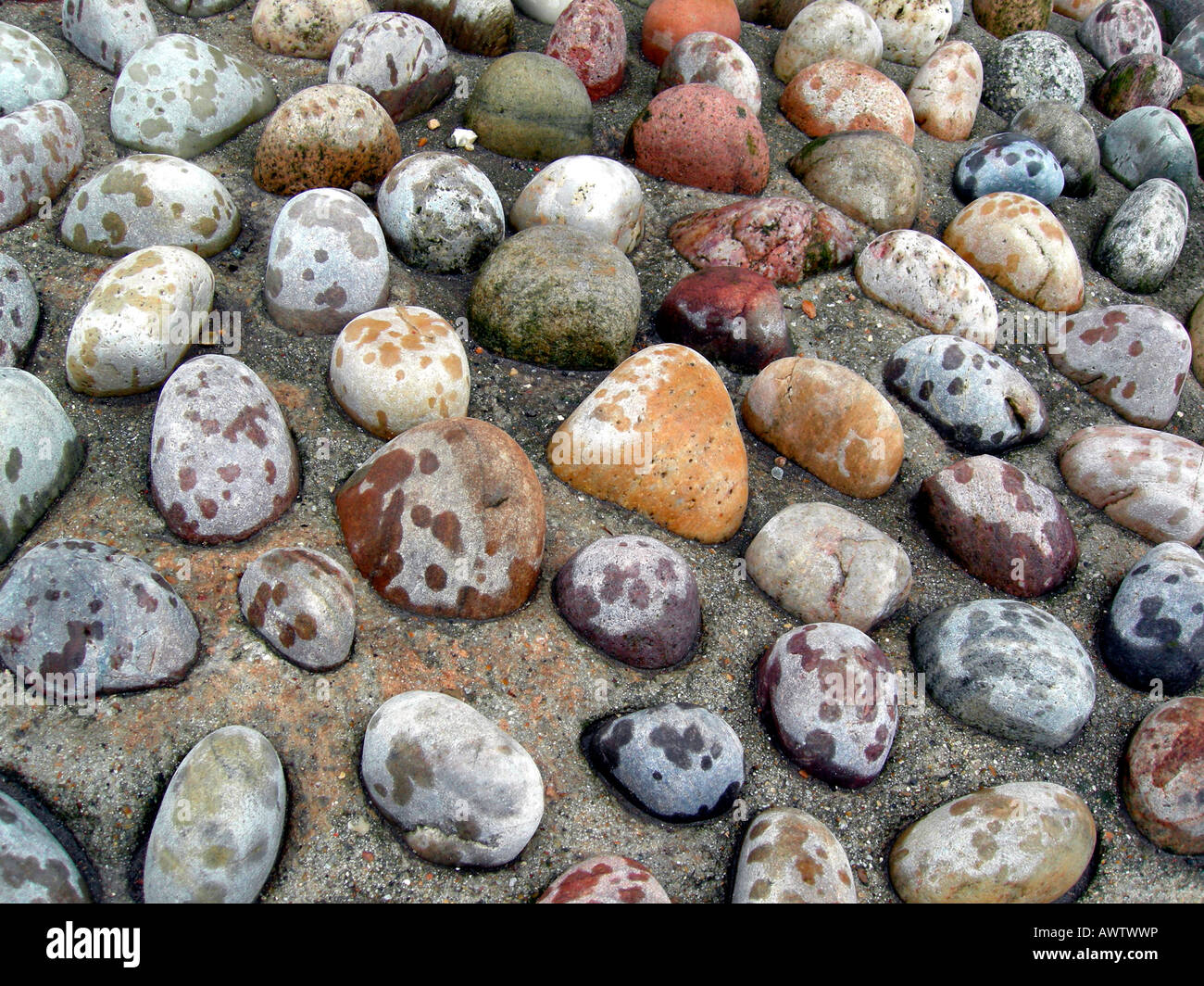 pebbles in cement London UK Stock Photo - Alamy