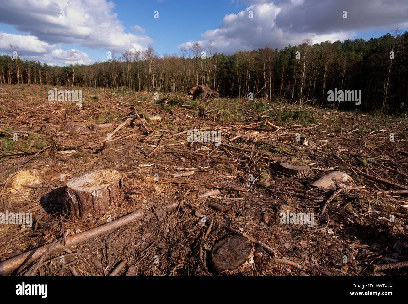 Landscape following deforestation in Derbyshire England Stock Photo - Alamy