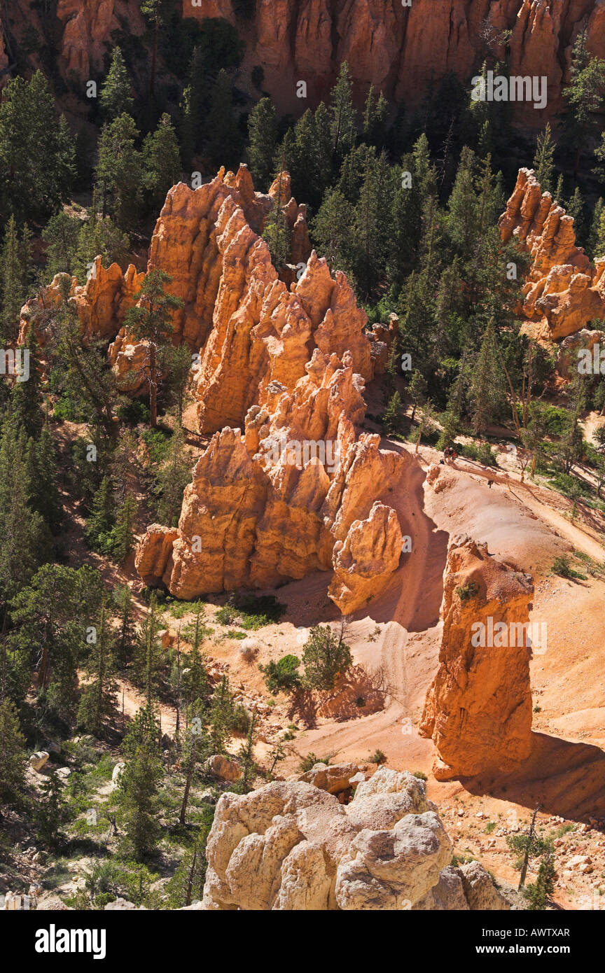Bryce Amphitheater, Bryce Canyon, Utah Stock Photo - Alamy