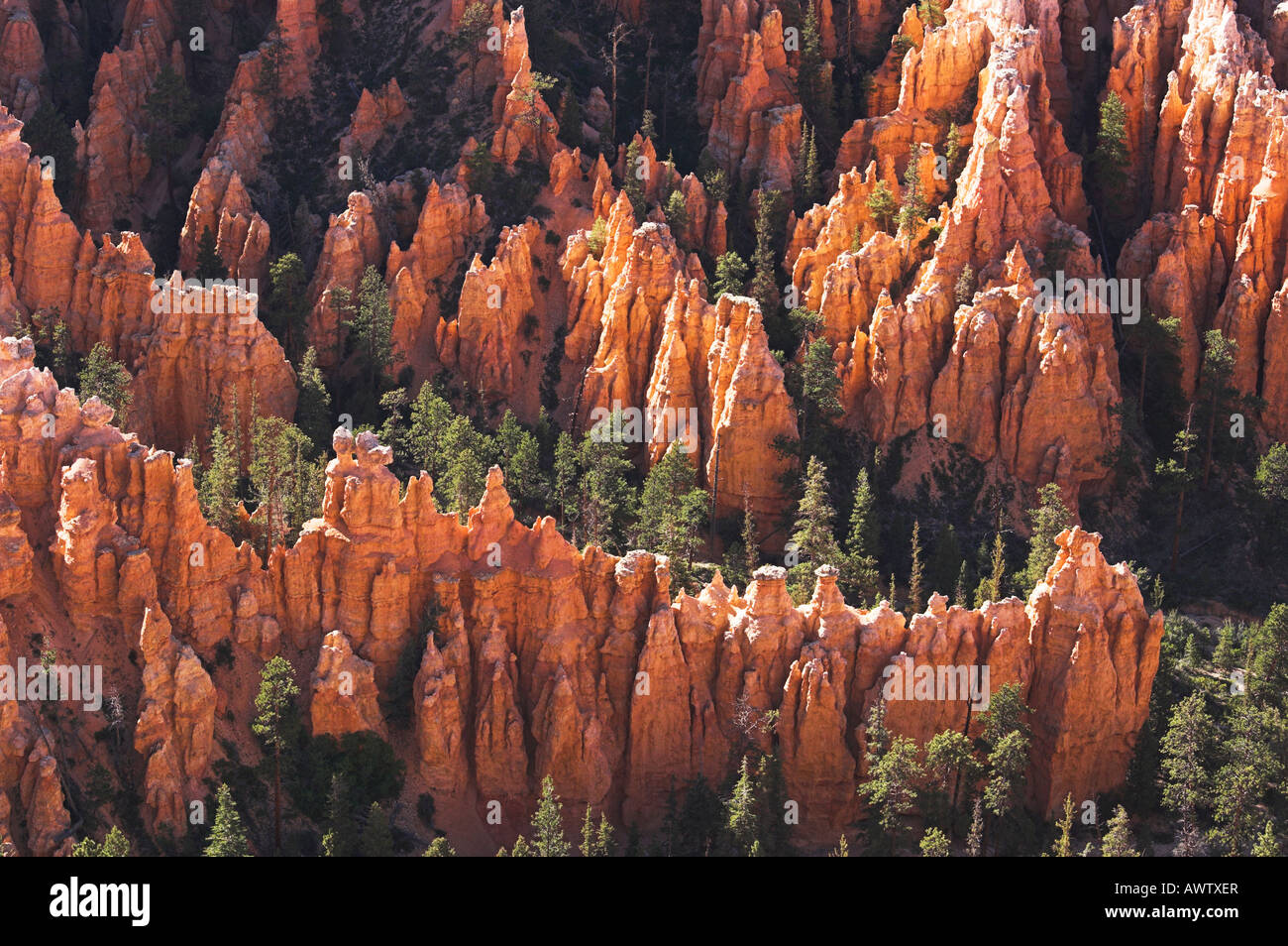 Bryce Amphitheater, Bryce Canyon, Utah Stock Photo - Alamy