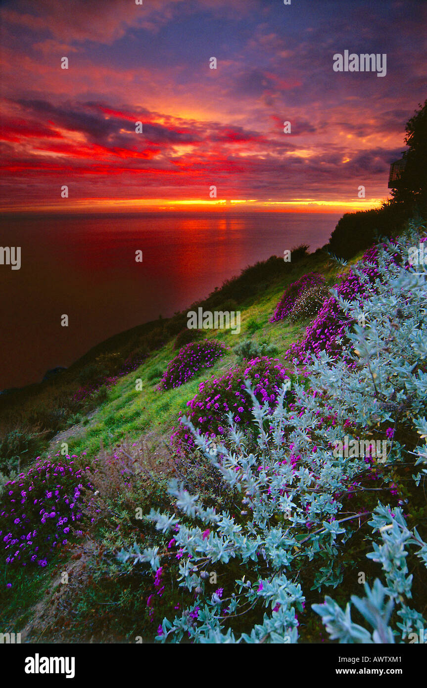 Big sur ranch hi-res stock photography and images - Alamy