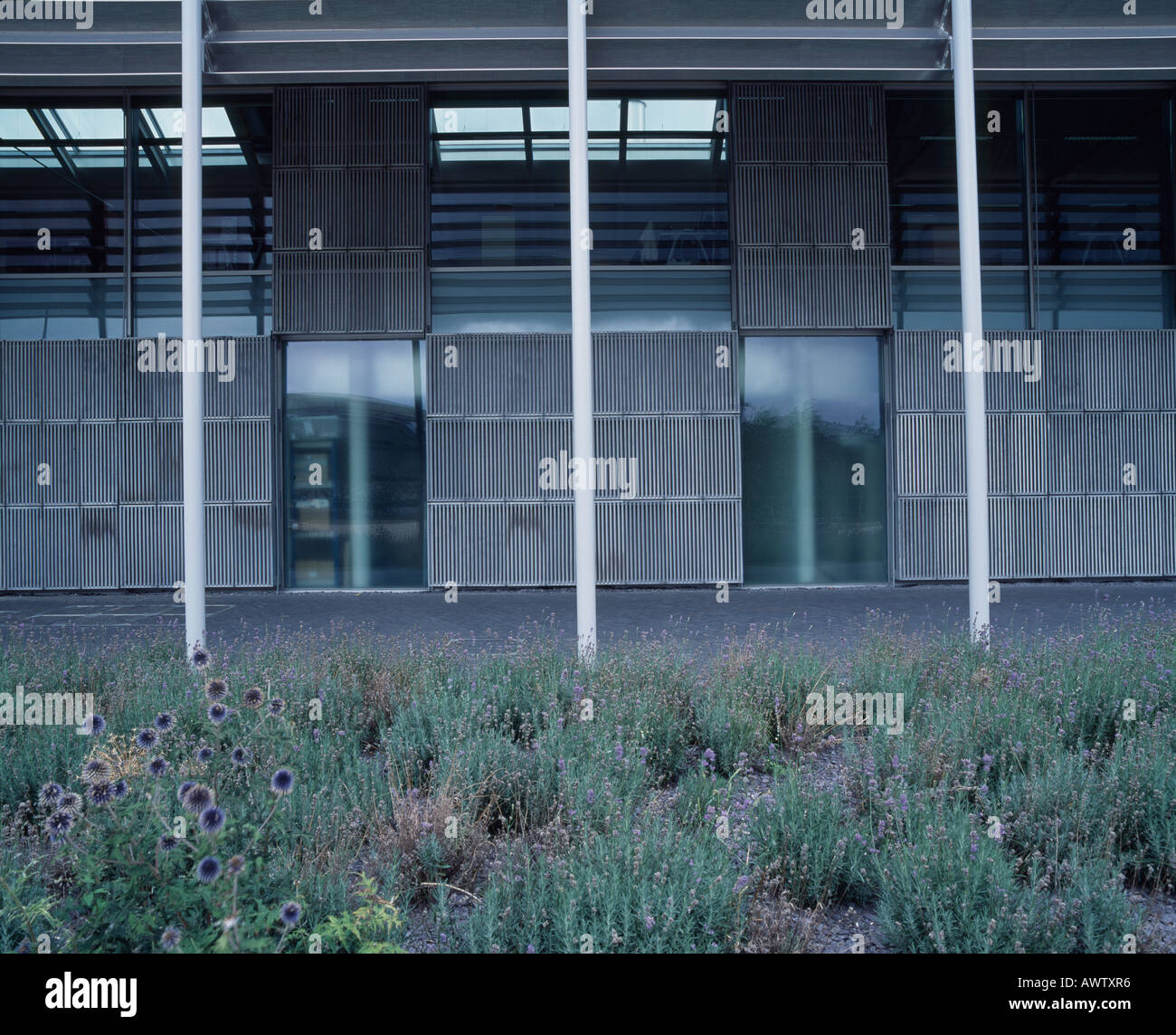 HEELIS BUILDING, HQ OF THE NATIONAL TRUST , SWINDON, UK Stock Photo - Alamy