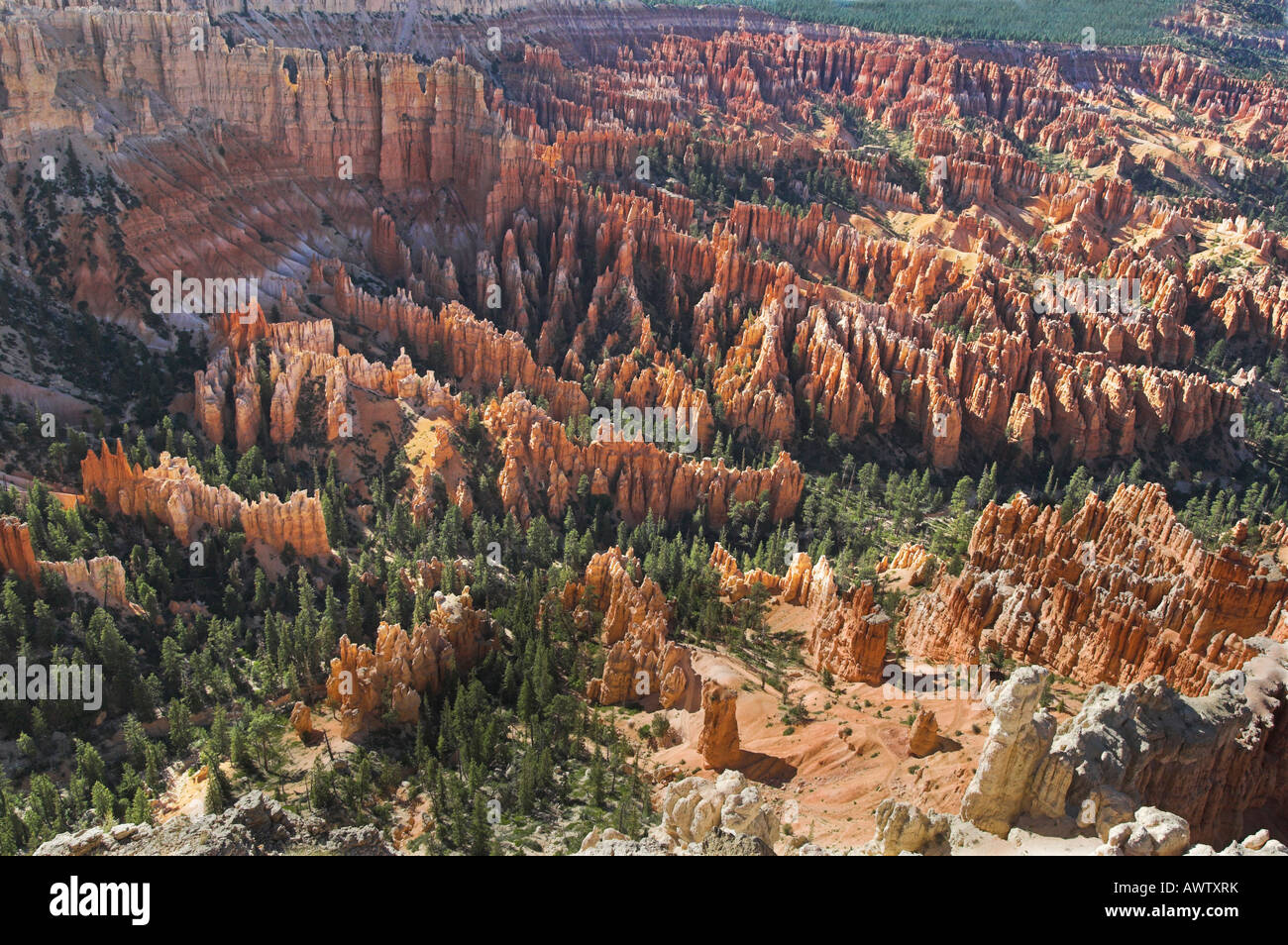 Bryce Amphitheater, Bryce Canyon, Utah Stock Photo - Alamy