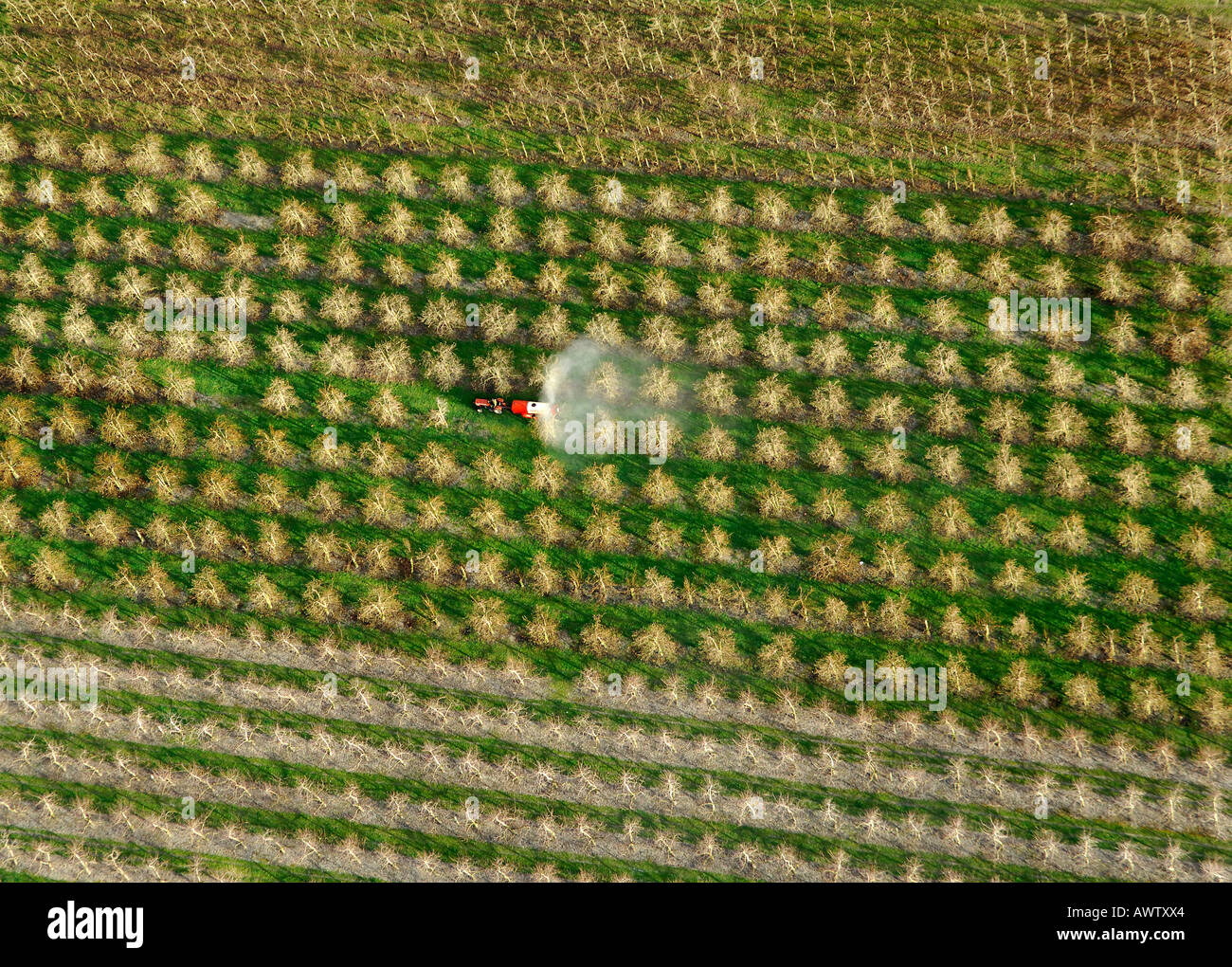 Crop dusting apple orchards, aerial photo Stock Photo - Alamy