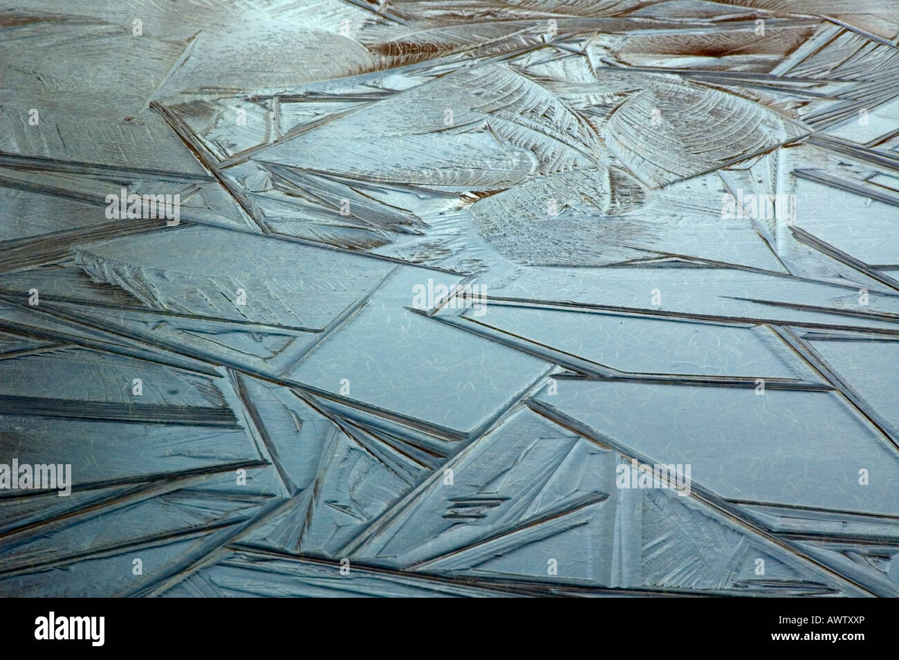 Ice Pattern in a New Forest Pond Stock Photo - Alamy