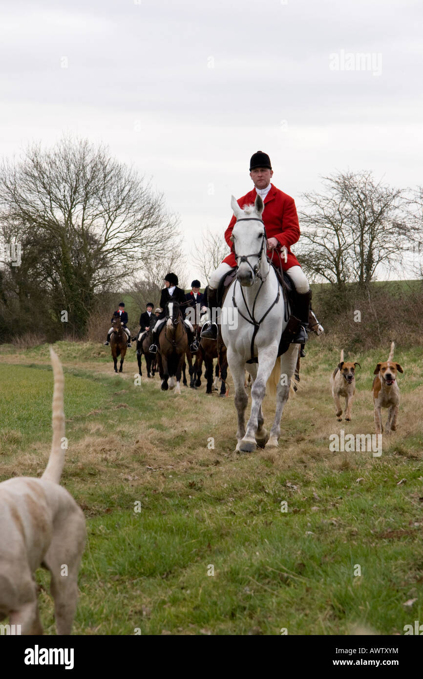 Huntsman and hounds Suffolk England Stock Photo - Alamy