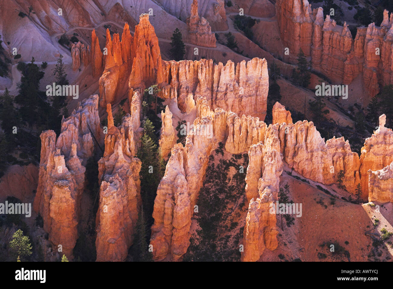 View from Bryce Point, Bryce Canyon, Utah Stock Photo - Alamy
