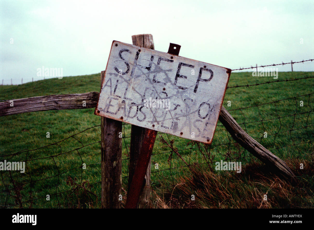 Sheep sign countryside Sussex UK Stock Photo - Alamy