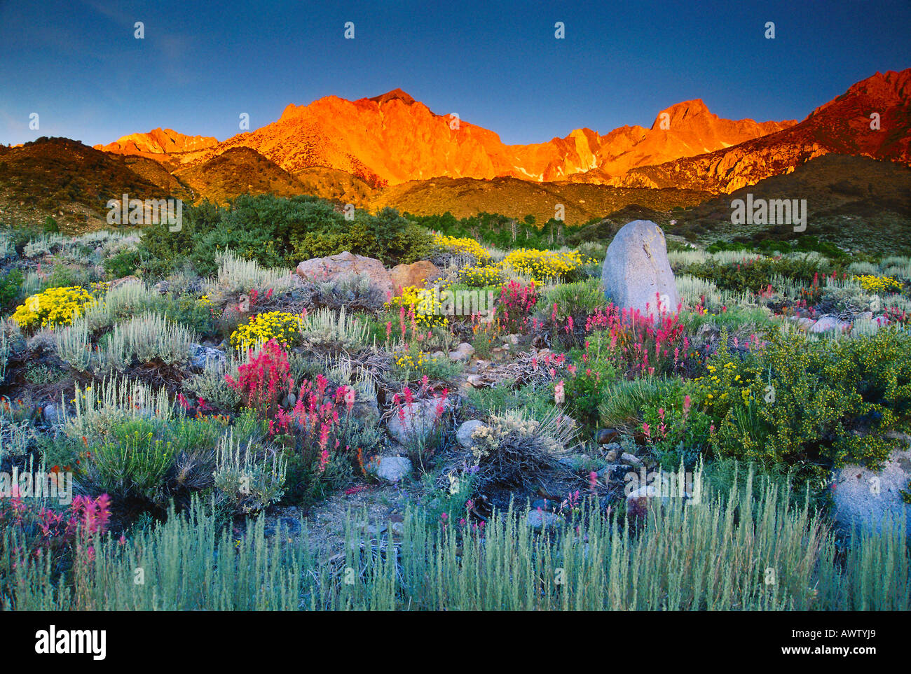 Summer dawn beneath Mount Humphreys Eastern Sierra California United ...