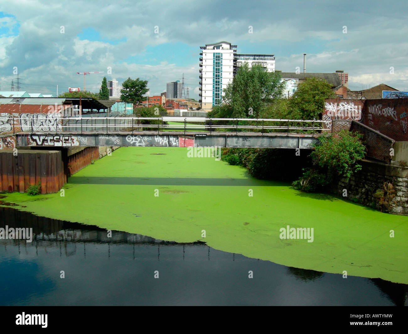 green sludge east London UK Stock Photo - Alamy