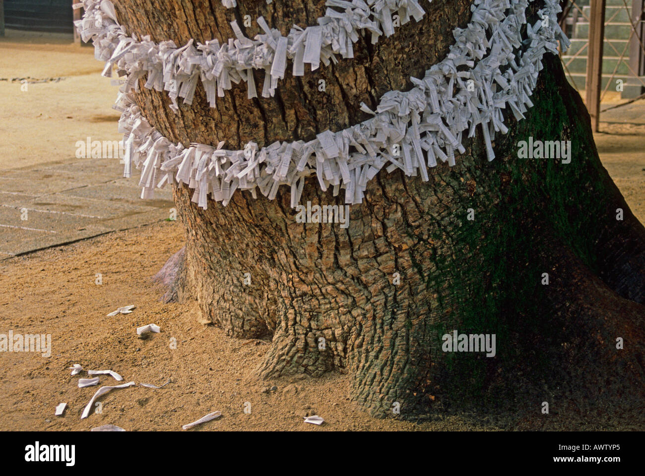Fortune slips hi-res stock photography and images - Alamy
