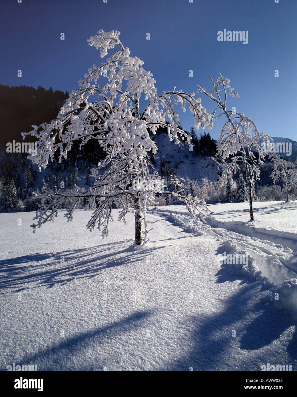 The near fall hi-res stock photography and images - Alamy