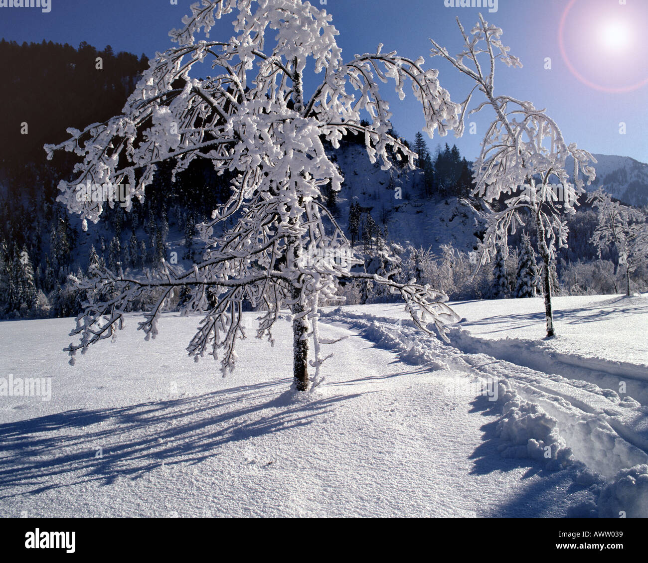 Christmas alpine winter scene hi-res stock photography and images - Alamy