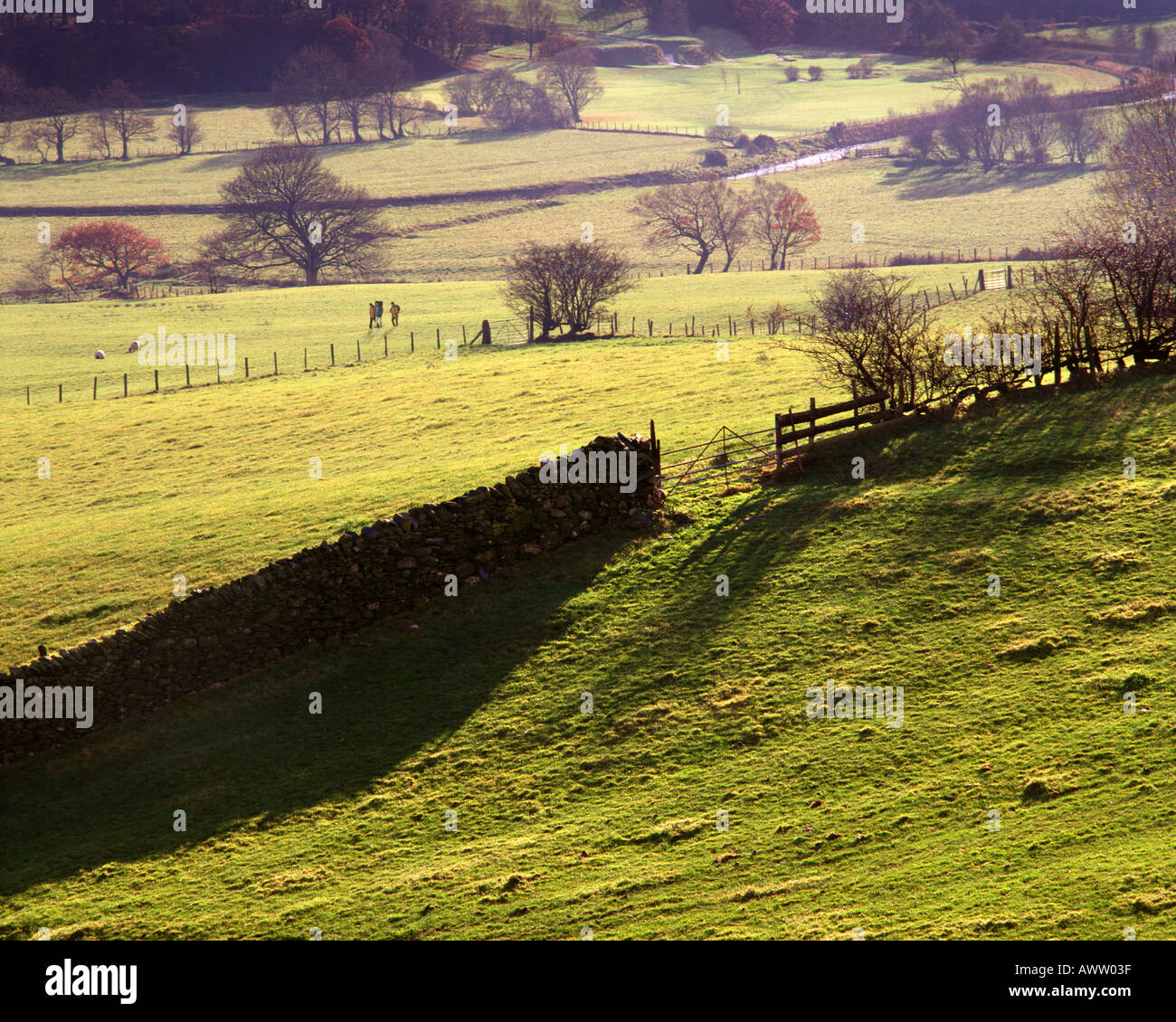 Cumbria scenery hi-res stock photography and images - Alamy