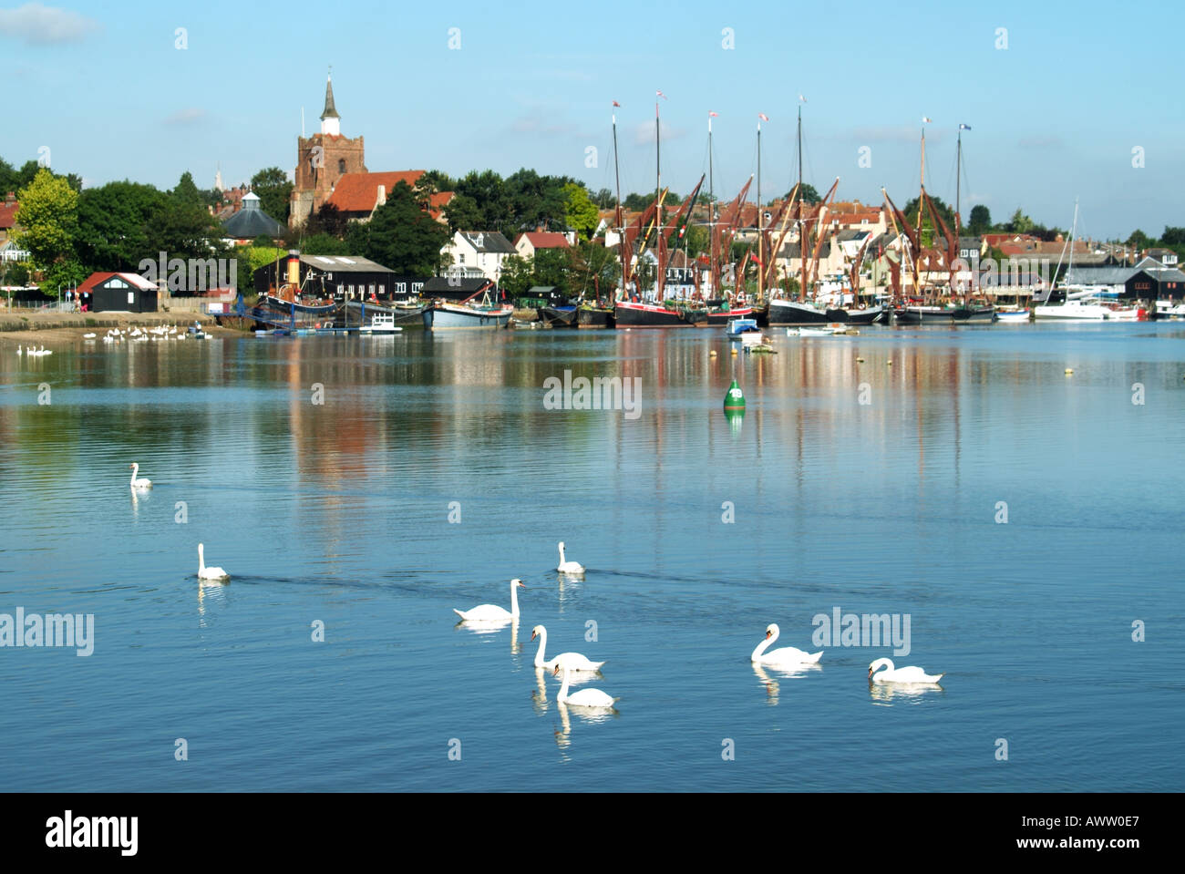 Bevy group of swans in water with Thames sailing barges at moorings on ...