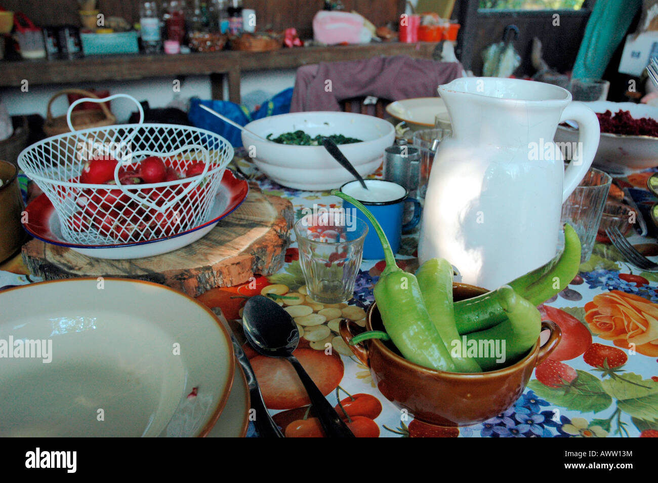 Rustic serbian country home serbia hi-res stock photography and images ...