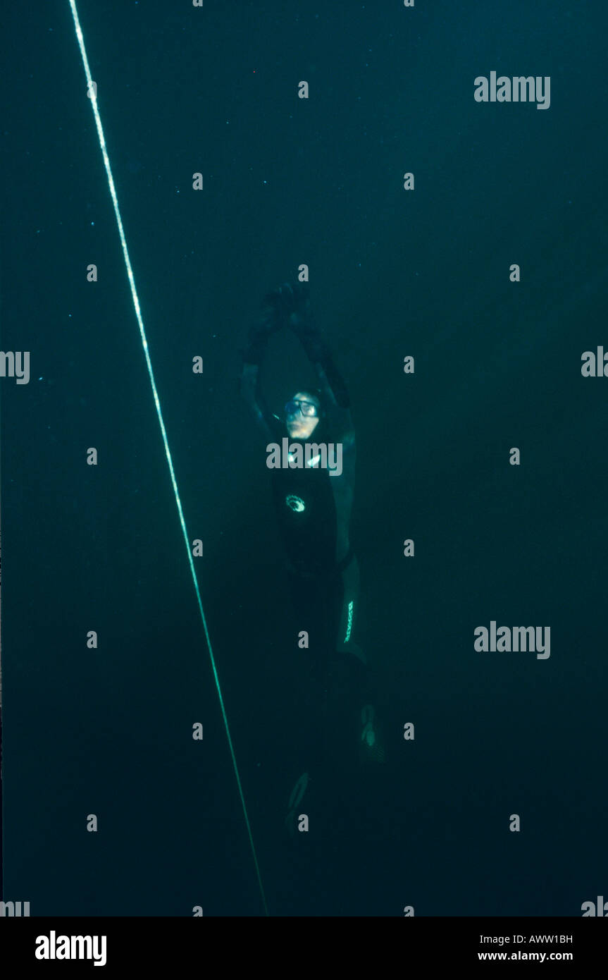 Tank emerging hi-res stock photography and images - Alamy