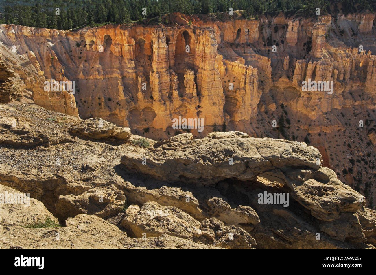 Bryce Amphitheater, Bryce Canyon, Utah Stock Photo - Alamy