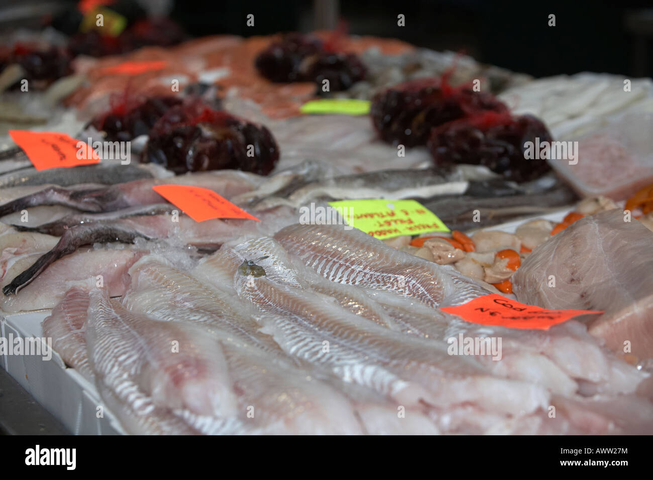 Fresh fish fillets shellfish on hi-res stock photography and images - Alamy