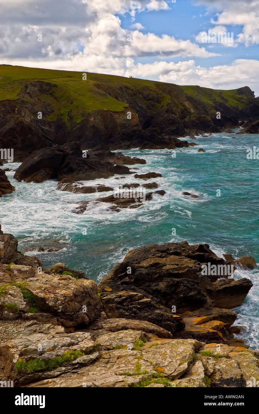 cornish coast, the lizard, cornwall Stock Photo - Alamy