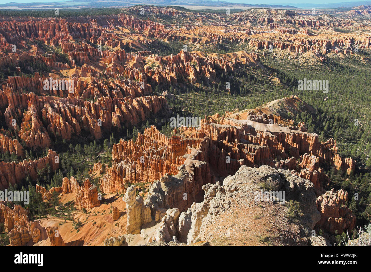 Bryce Amphitheater, Bryce Canyon, Utah Stock Photo - Alamy