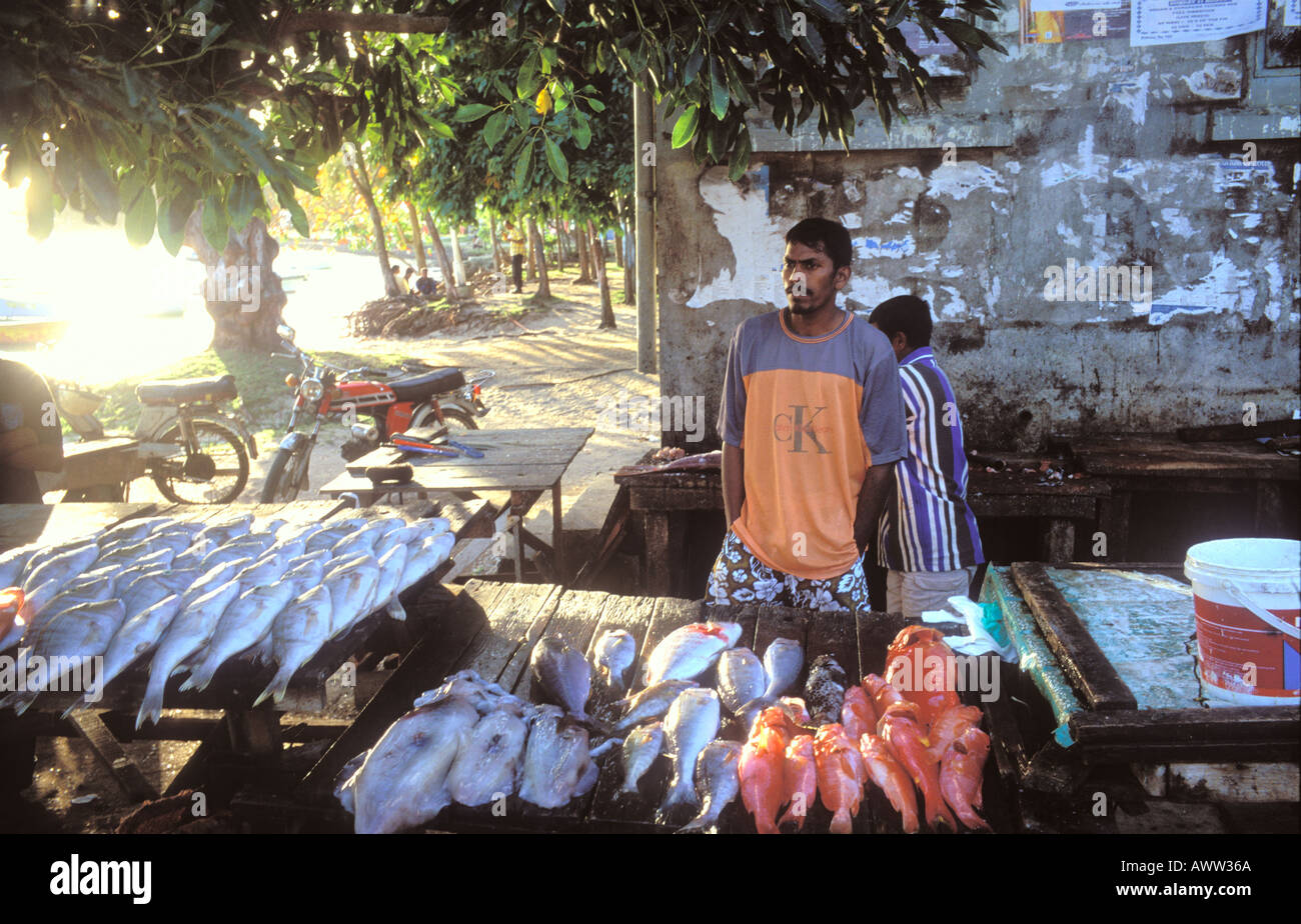 Fisherman selling Fish in Mauritius Stock Photo - Alamy