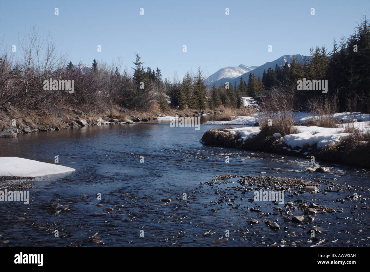 Shallow river, Canmore, Alberta Stock Photo - Alamy