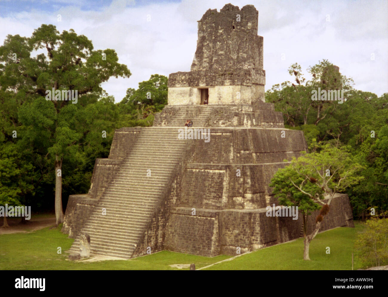 Panoramic view imposing Maya stone pyramid Tikal Guatemala Central ...