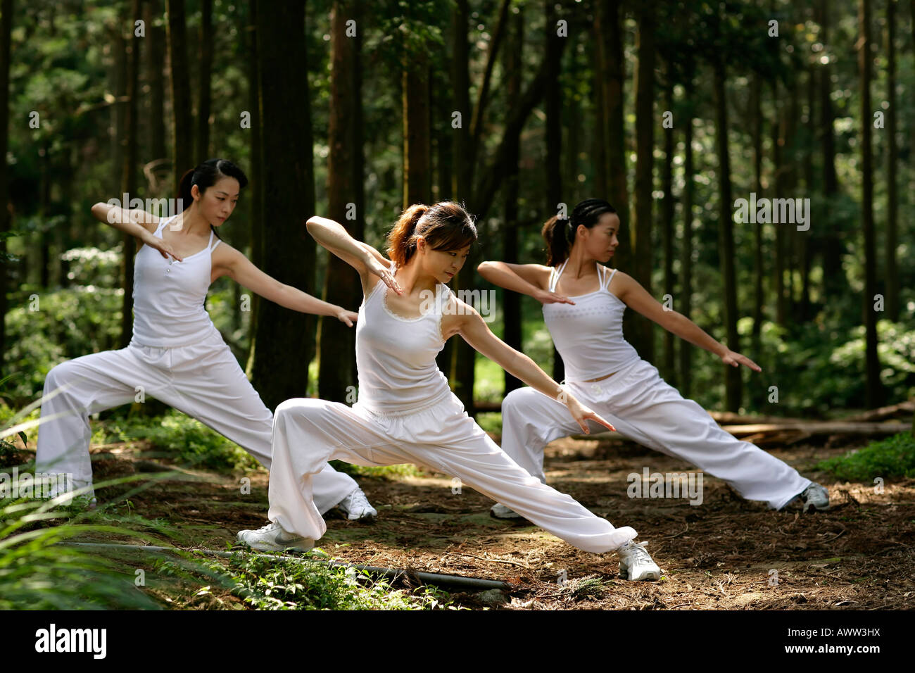 young women practice yoga in forest Stock Photo - Alamy