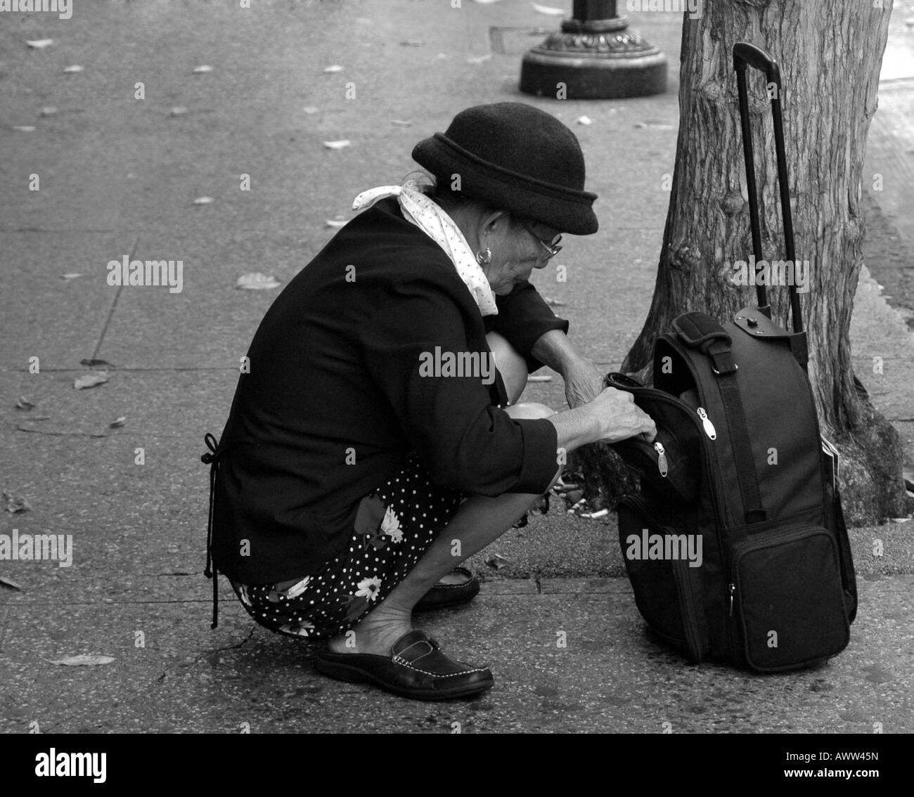 well dressed lady searching for something Stock Photo - Alamy