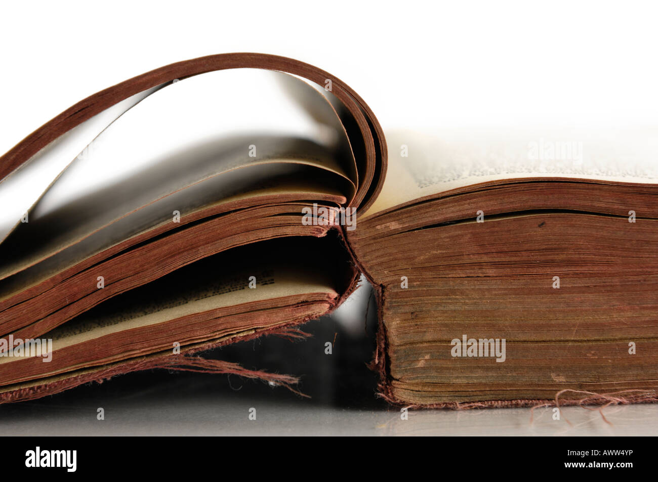 Old open tattered book pages closeup Isolated on white background Stock ...