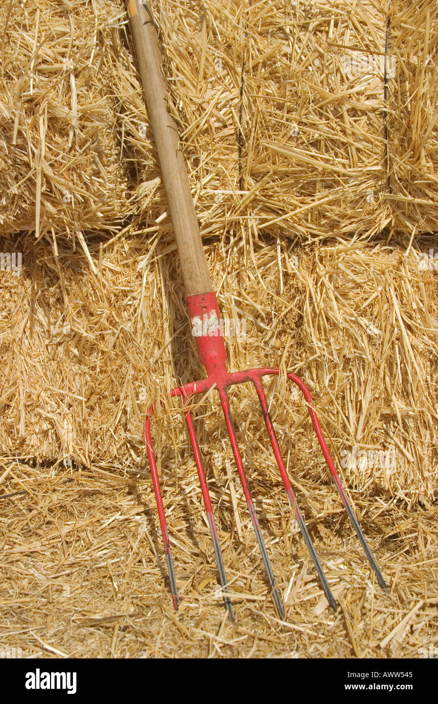 Pitchfork Hay