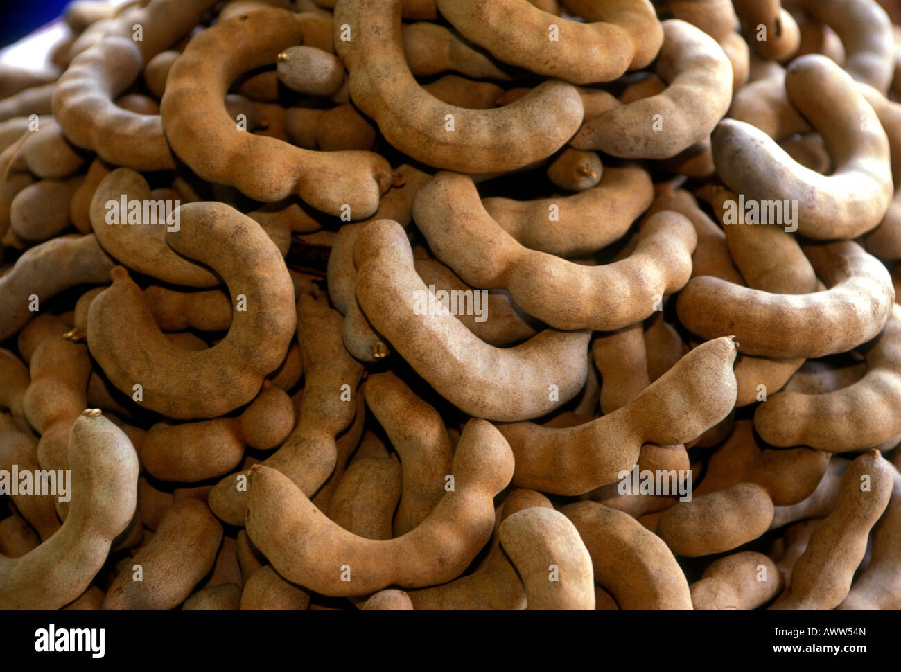 tamarind, tamarinds, food vendor, Chatuchak Weekend Market, Chatuchak ...