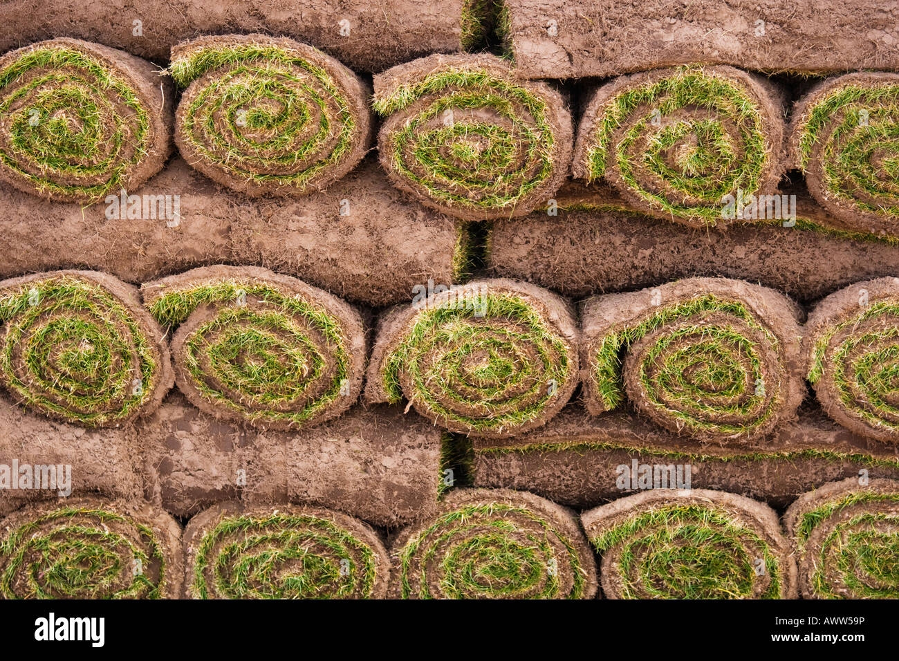 Turf rolls hi-res stock photography and images - Alamy