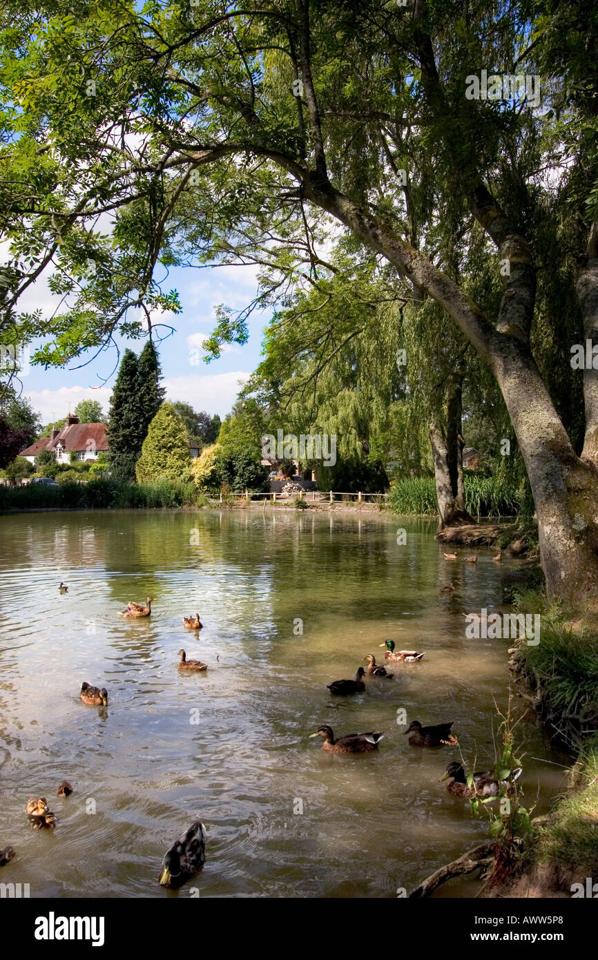 Buriton pond Hampshire UK Stock Photo - Alamy