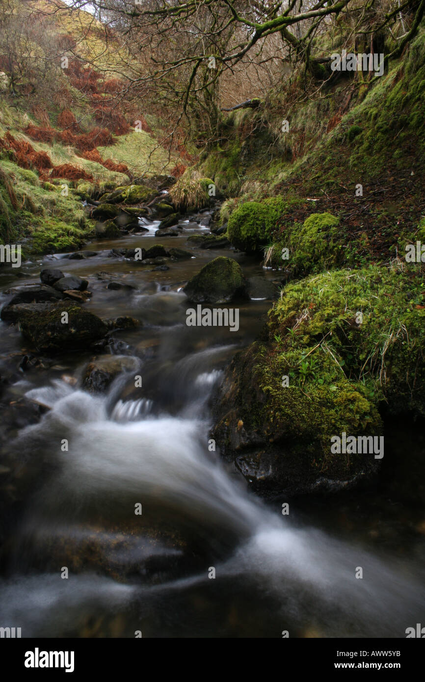 Waterfall, Glendaruel, ARGYLL, SCOTLAND Stock Photo - Alamy