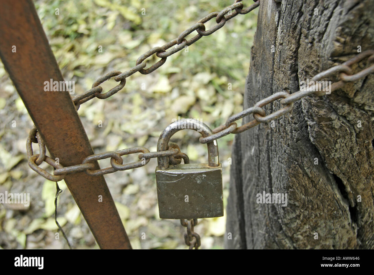 Lock and chain on country gate Stock Photo - Alamy