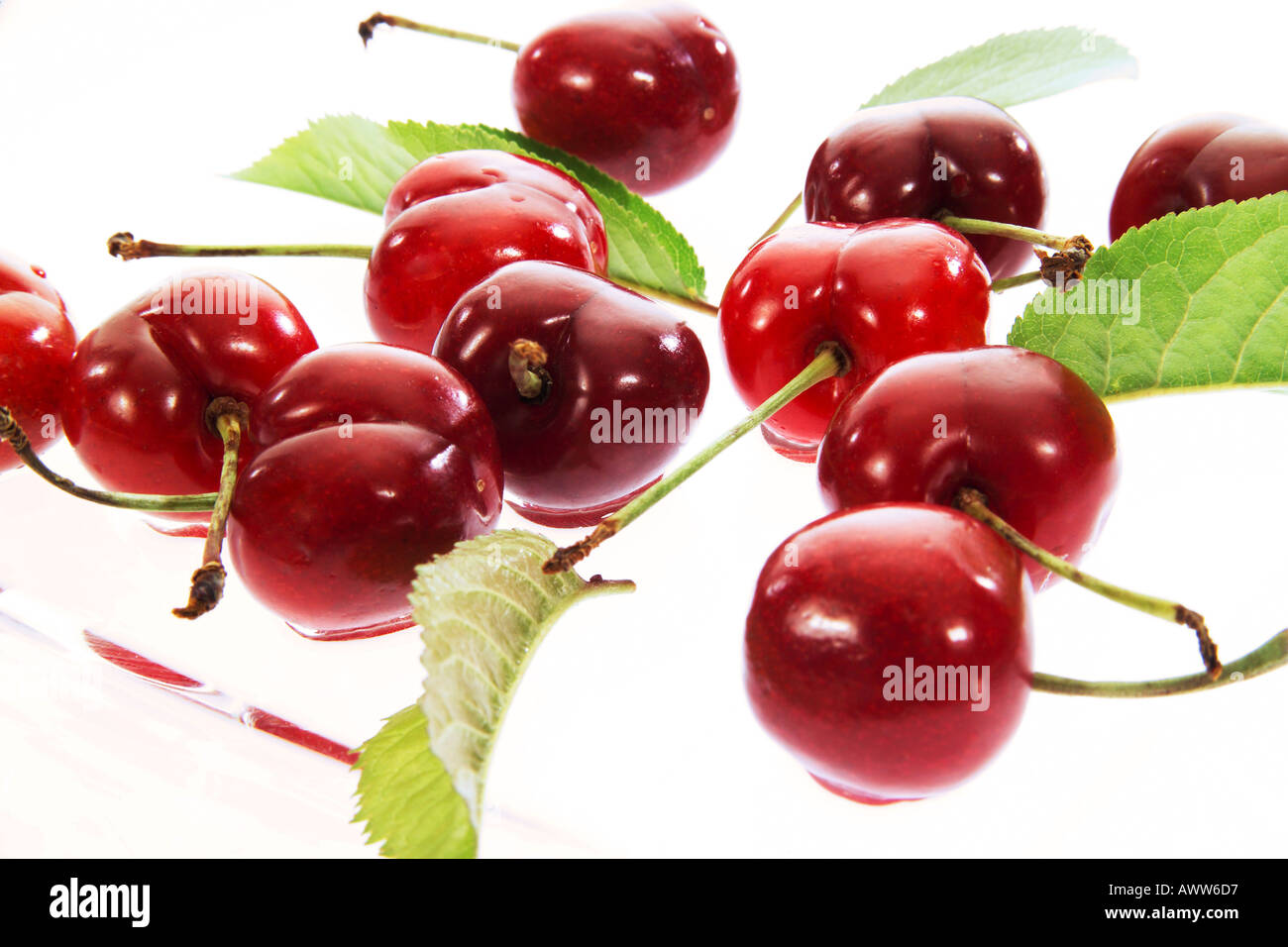 Sour cherry shots hi-res stock photography and images - Alamy