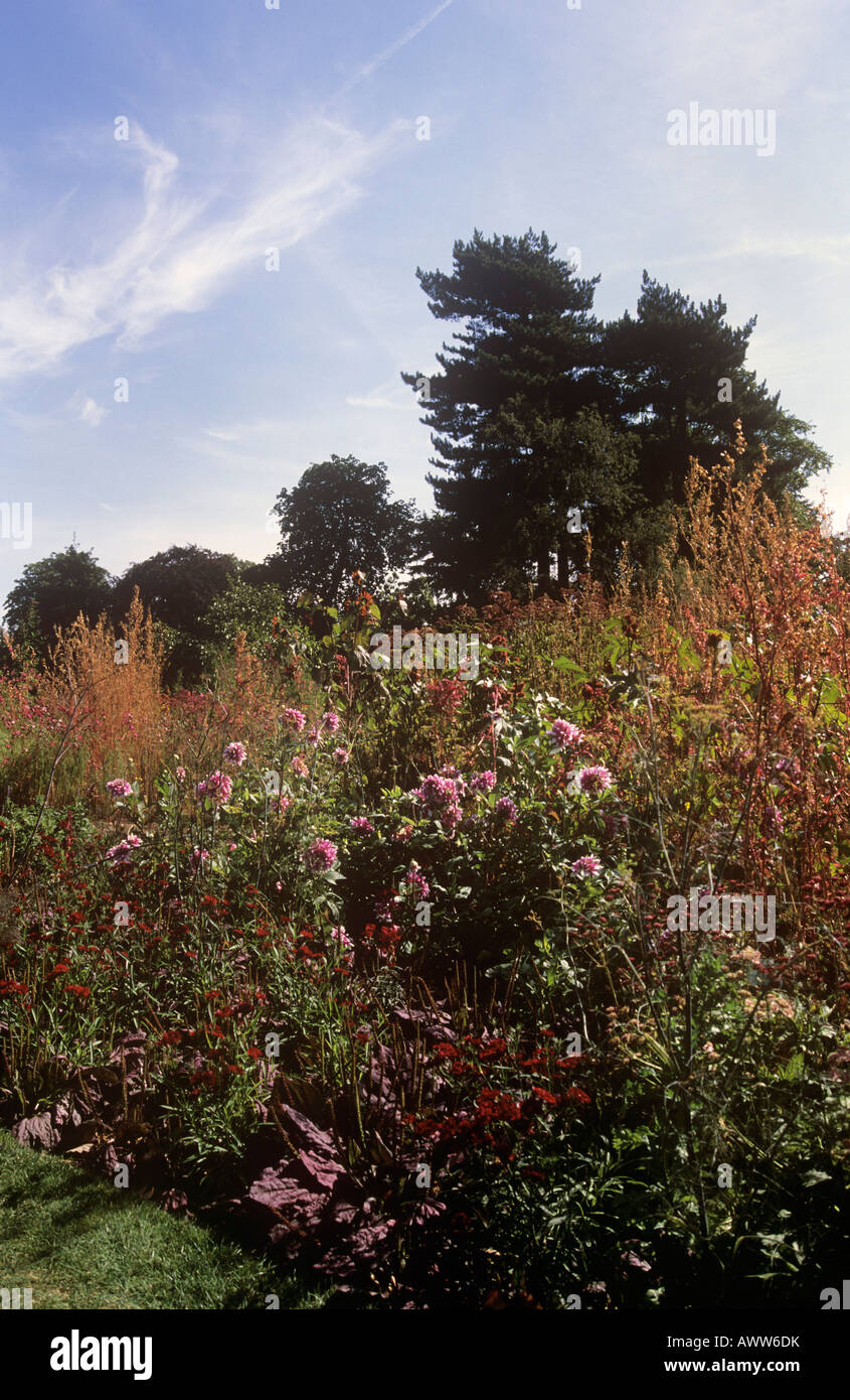 Colourful border planting at Kew Stock Photo - Alamy