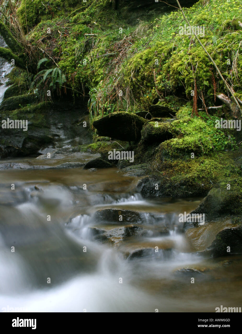 Glendaruel hi-res stock photography and images - Alamy
