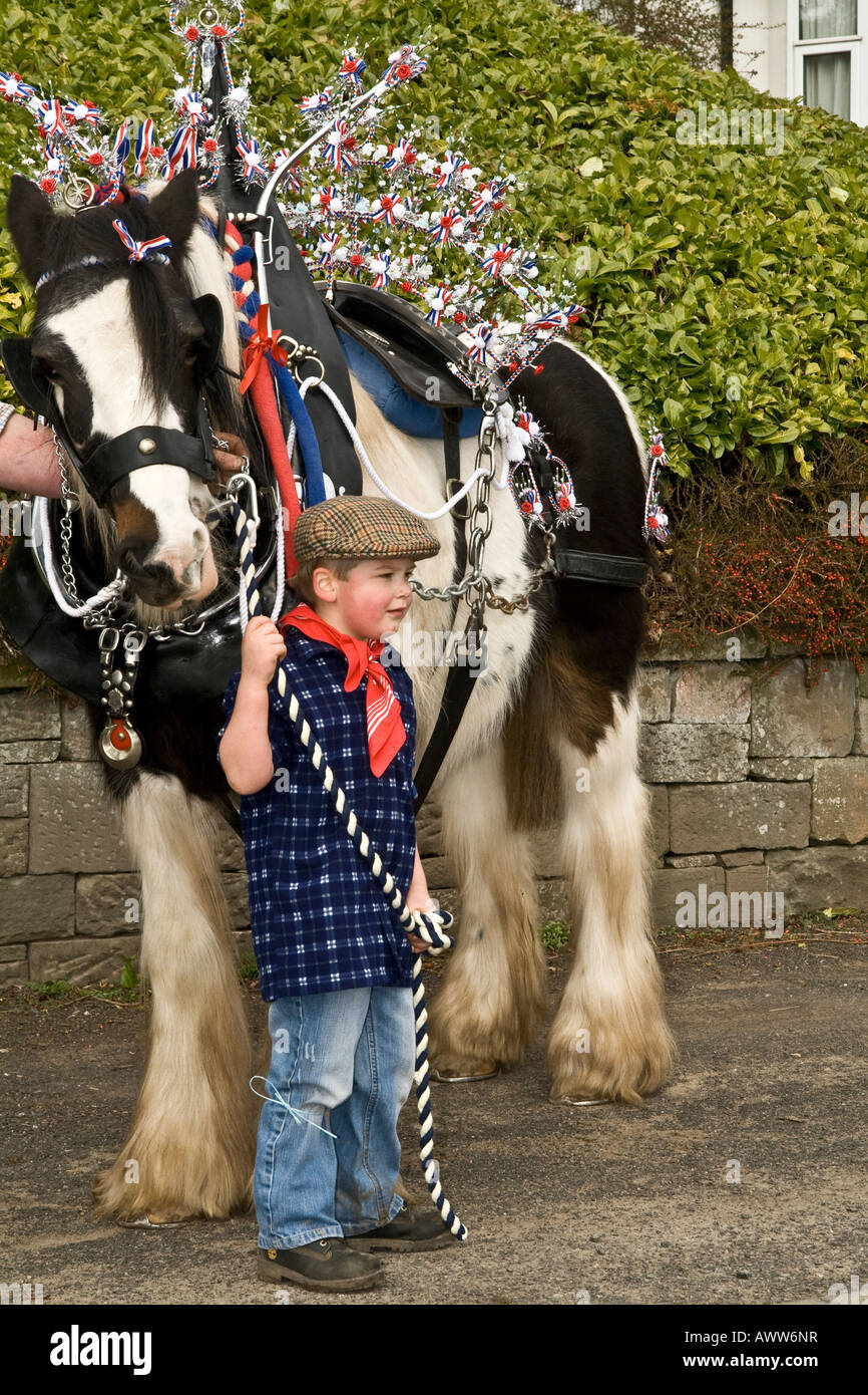 Black Clydesdale Stallion