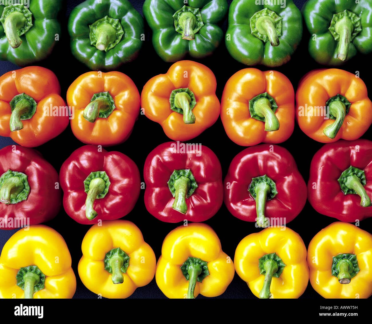 Collection of Bell peppers Stock Photo - Alamy